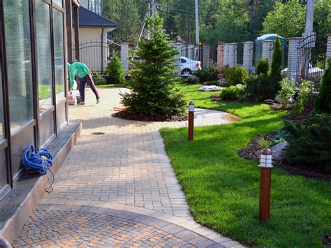 Хвойные в ландшафтном дизайне возможные композиции и особенности использование хвойников на