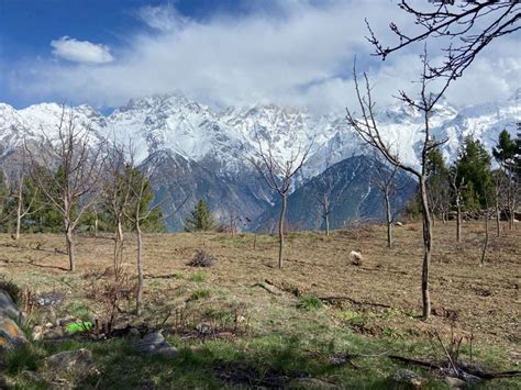 Mahesh Negi On Linkedin Architect Kinnaur Sustainable