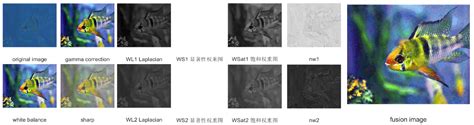 论文笔记：color Balance And Fusion For Underwater Image Enhancement（论文及源代码下载