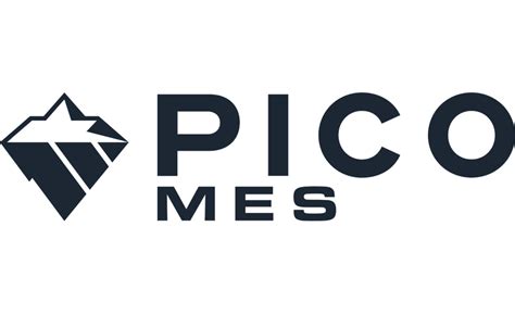 Pico Mes Gets 12 Million Investment To Expand Business Assembly