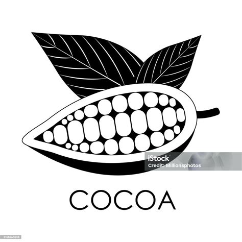 Cocoa Bean Logo Cocoa Icon Chocolate Cocoa Symbol Stock Illustration