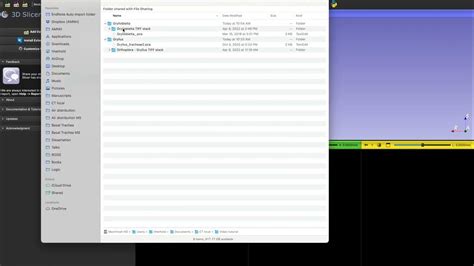 01 Importing Data Into 3d Slicer Youtube