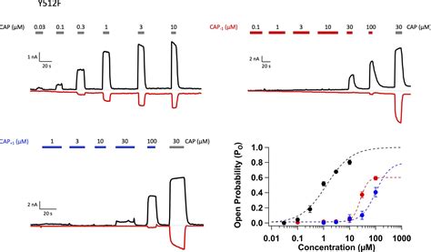Figures And Data In New Capsaicin Analogs As Molecular Rulers To Define