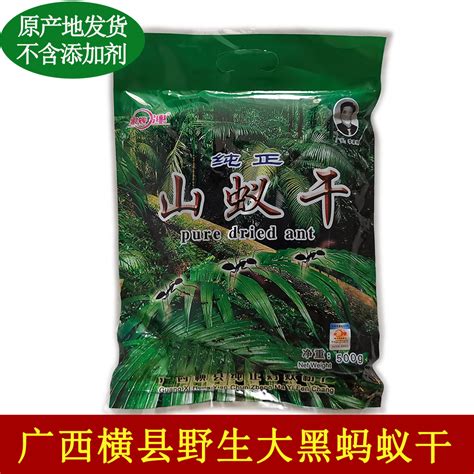 黑蚂蚁