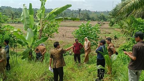 Puluhan Hektare Sawah Terancam Alih Fungsi Akibat Jaringan Irigasi