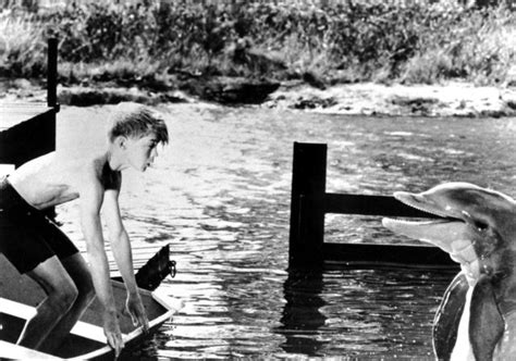 Movie Lovers Reviews Flipper 1963 Wonderful Scenery Inhabited By