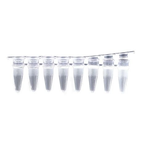 DNase Free RNase Free PCR 8 Strip Tubes 100 200ul Clear Plastic PCR