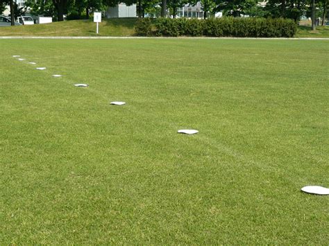 【楽天市場】フラットマーカー 15cm 10枚 セット サッカー フットサル ハンドボール 練習 グラウンド コート ライン 5色 青 白