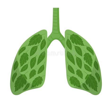 Human Lungs Tree Vector Stock Illustrations 686 Human Lungs Tree