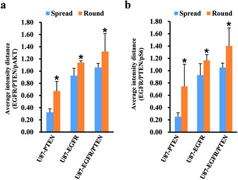 Comparison Of Mixed Cell Differentiation Of The Spread And The Round Download Scientific