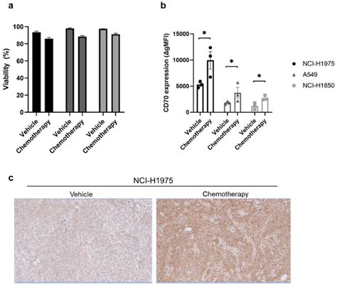 Viability And Cd70 Expression On Nsclc Cell Lines After Treatment With