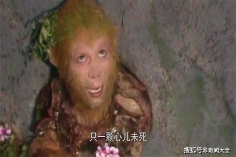 孙悟空被五行山压五百年，真的没神仙去看他吗？没想到战神去了好友
