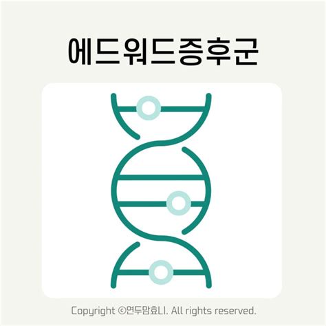 에드워드증후군 다운 파타우 증후군 태아목투명대 원인 고위험 네이버 블로그