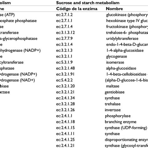 Enzymes Involved In Glycerolipid Sugar And Starch Metabolism