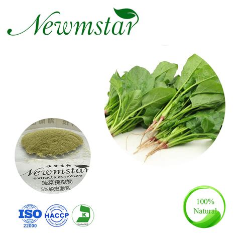 Plant Extract Natural Spinach Extract Spinach Leaf Extract China