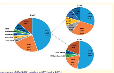 Figure 3 From High Prevalence Of Kras Braf Somatic Mutations In Brain And Spinal Cord