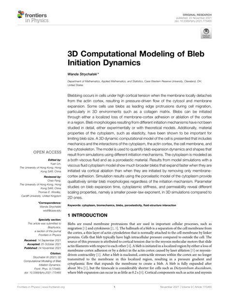 Pdf 3d Computational Modeling Of Bleb Initiation Dynamics