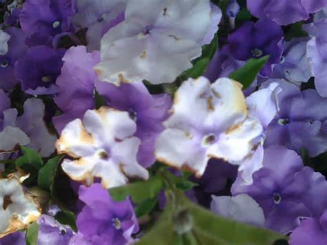 How To Create Your Own Swiper Carousel Or Slider In React And