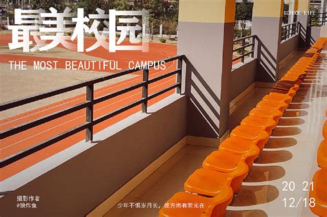 最美校园摄影作品狼炸鱼 站酷zcool