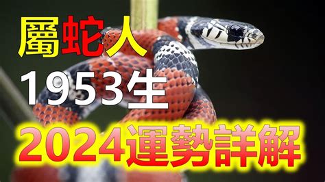 1953年是蛇年，1953年出生的人屬蛇。1953年癸巳年的生肖蛇。1953年納音五行長流水。水蛇之人，早運坎坷，1953年出生的屬蛇人子女