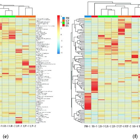 The Abundance Heatmap Represents Different Levels Of Soil Microbial