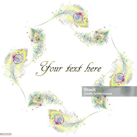 Beautiful Vector Peacock Feathers Stock Illustration Download Image