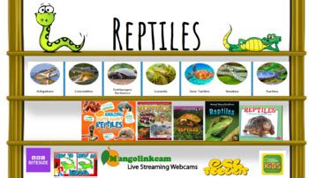 Reptile Ebooks Online Resources By Rachel S Creations TPT
