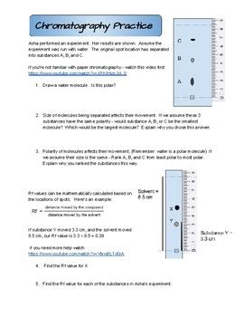 Chromatography Practice Calculating Rf Values By Carrie S Chemistry And Anatomy