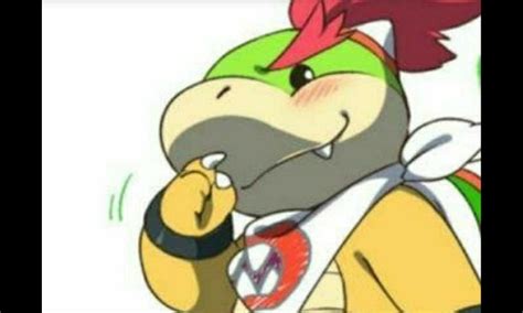 Bowser Jr Wiki Mario Amino
