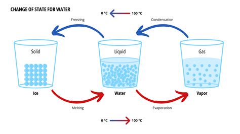Dry Saturated Steam What It Is And Why It Is So Useful For Cleaning