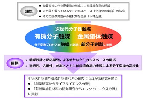 研究概要｜寺田研へようこそ 反応有機化学研究室 東北大学
