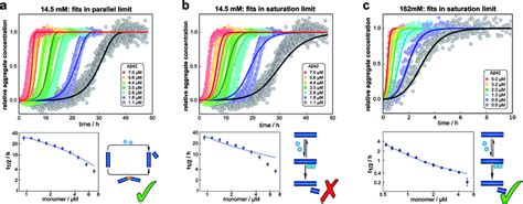 Global Fits Of The Aggregation Curves A The Top Panel Shows A Global