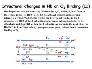 Comprehensive Insights Into Hemoglobin Structure Function And
