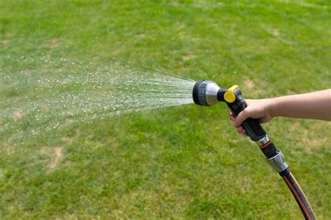 Rociar El Césped Con Agua De Una Manguera De Jardín Foto Premium