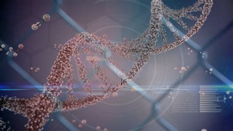 animation of dna strand spinning over data processing and exercising