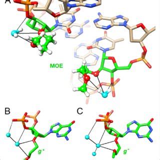 Structures Of 2 O Alkyl Modifications A 2 O Methoxy RNA 2 OMe