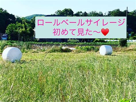 ロールベールサイレージ emikoの毎日