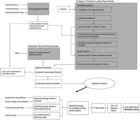 Flow Chart Of The Steps In The Modeling Analyses Download Scientific Diagram