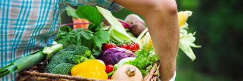 Home Care Products And Fertilisers Growchem