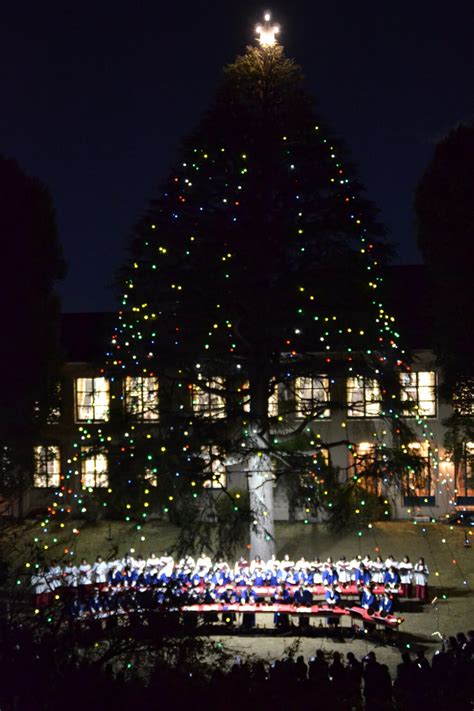 夕暮れのクリスマスツリー 立教女学院小学校