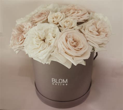 Blom Medium Rosy Box Blom Za