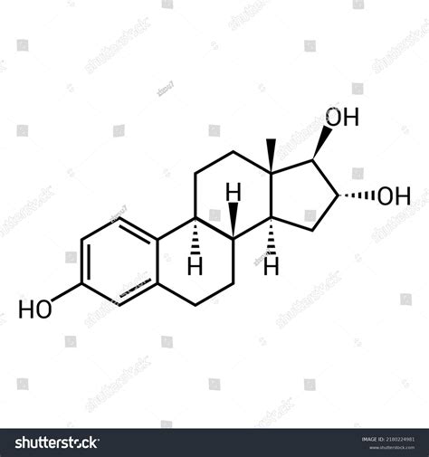 Chemical Structure Estriol C18h24o3 Stock Vector Royalty Free