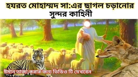 হযরত মোহাম্মদ সা এর ছাগল চড়ানোর সুন্দর কাহিনী নবীর চমৎকার