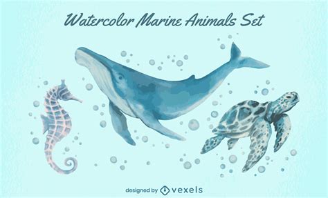 Design Png E Svg De Animais Marinhos Baleia Azul Para Camisetas🦟 O Que