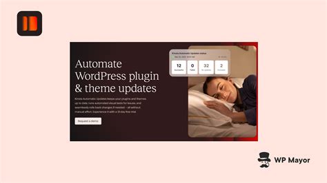 How To Set Up Kinsta Automatic Plugin Updates And Keep Round The Clock