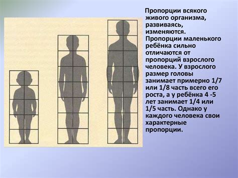 Пропорции и строение фигуры человека. Схема движения фигуры человека ...