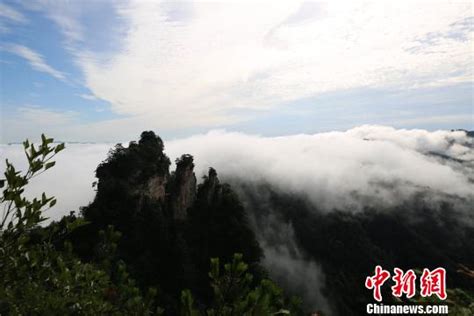张家界天子山 雨后云海气势磅礴深圳绿色光明网