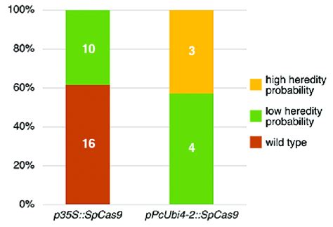Tide Analysis Of T1 Cardamine Plants To Estimate Crispr Heritable