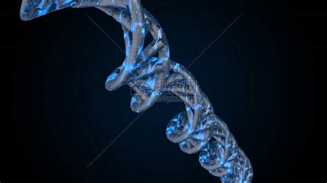 Dna Dna