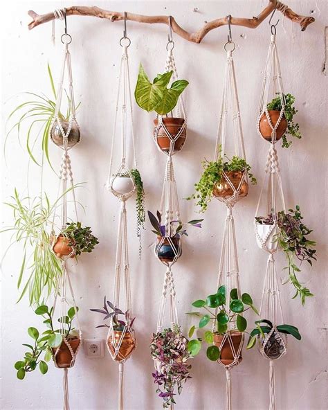 Cricut Welcome Sign Diy Plant Hanger Diy Plant Hanger